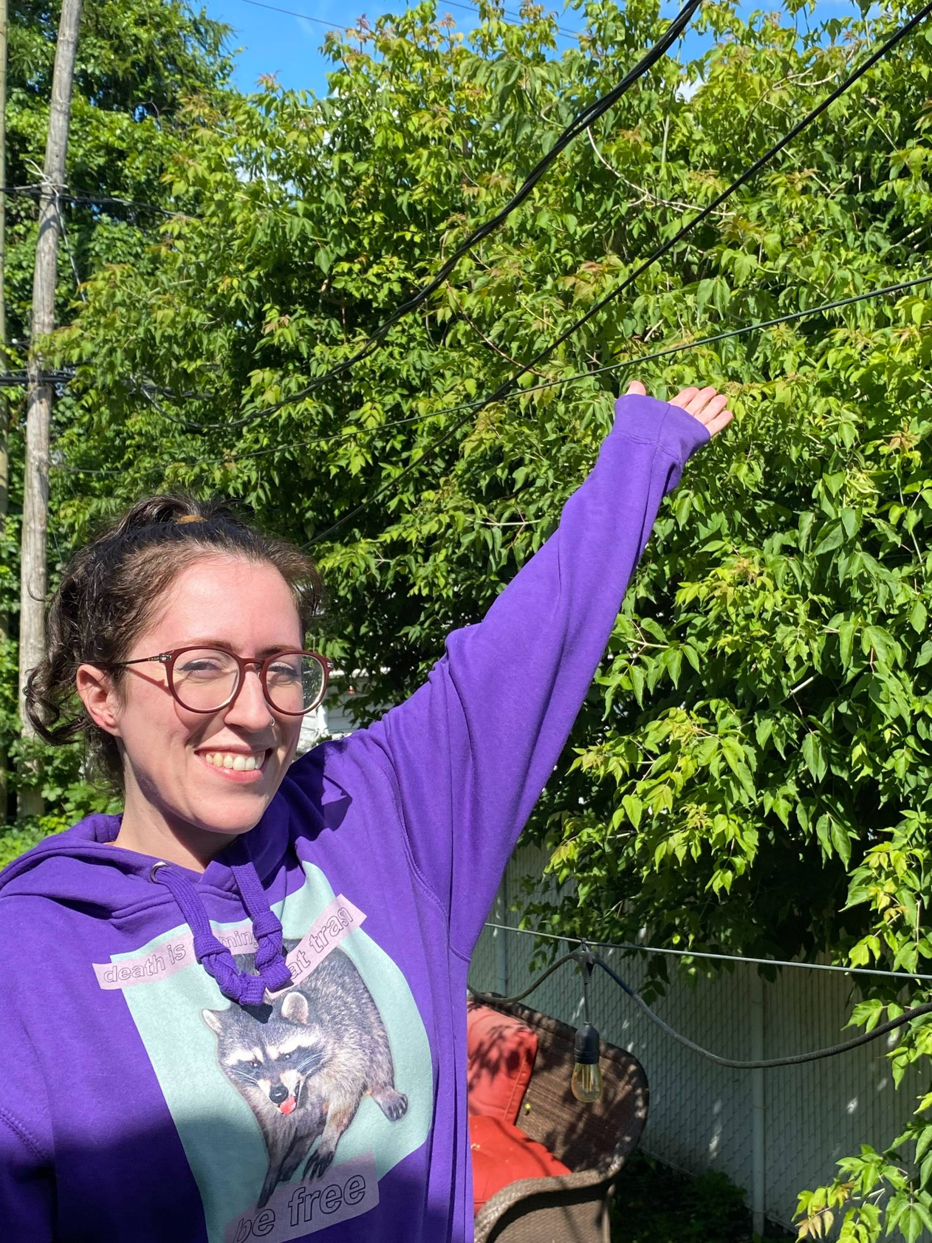 Fils trop bas : Hydro-Québec reconnait son erreur - Journal Le Courrier du sud